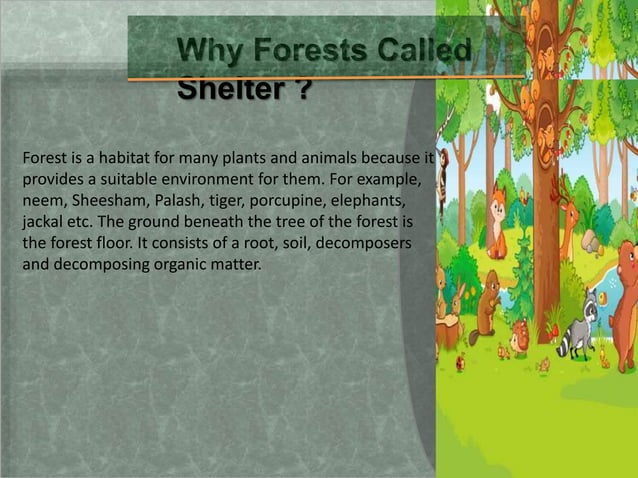 Advance Presentation On Forest Our Life Line | PPTX | Agriculture ...