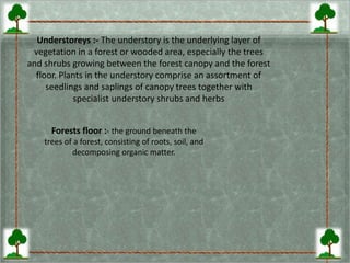 Advance Presentation On Forest Our Life Line | PPTX