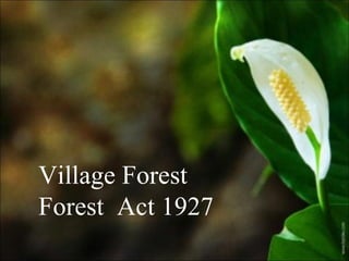 Forest act 1927 | PPT