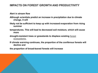 Forest and climate change a study how world By Mr Allah Dad Khan | PPTX