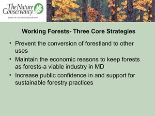 Forest and conservation | PPT