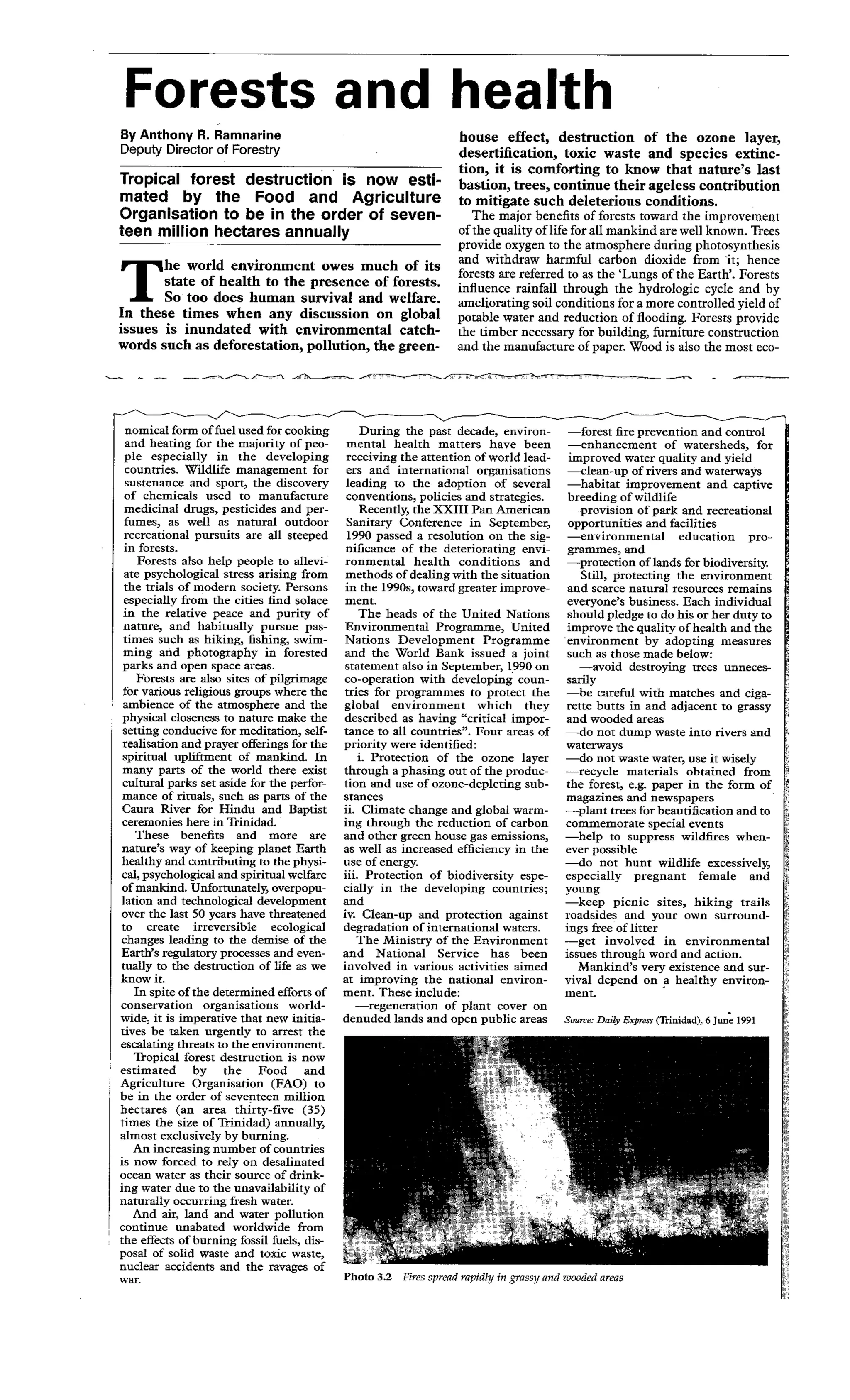 Forestry Assignment Forest And Health Pdf