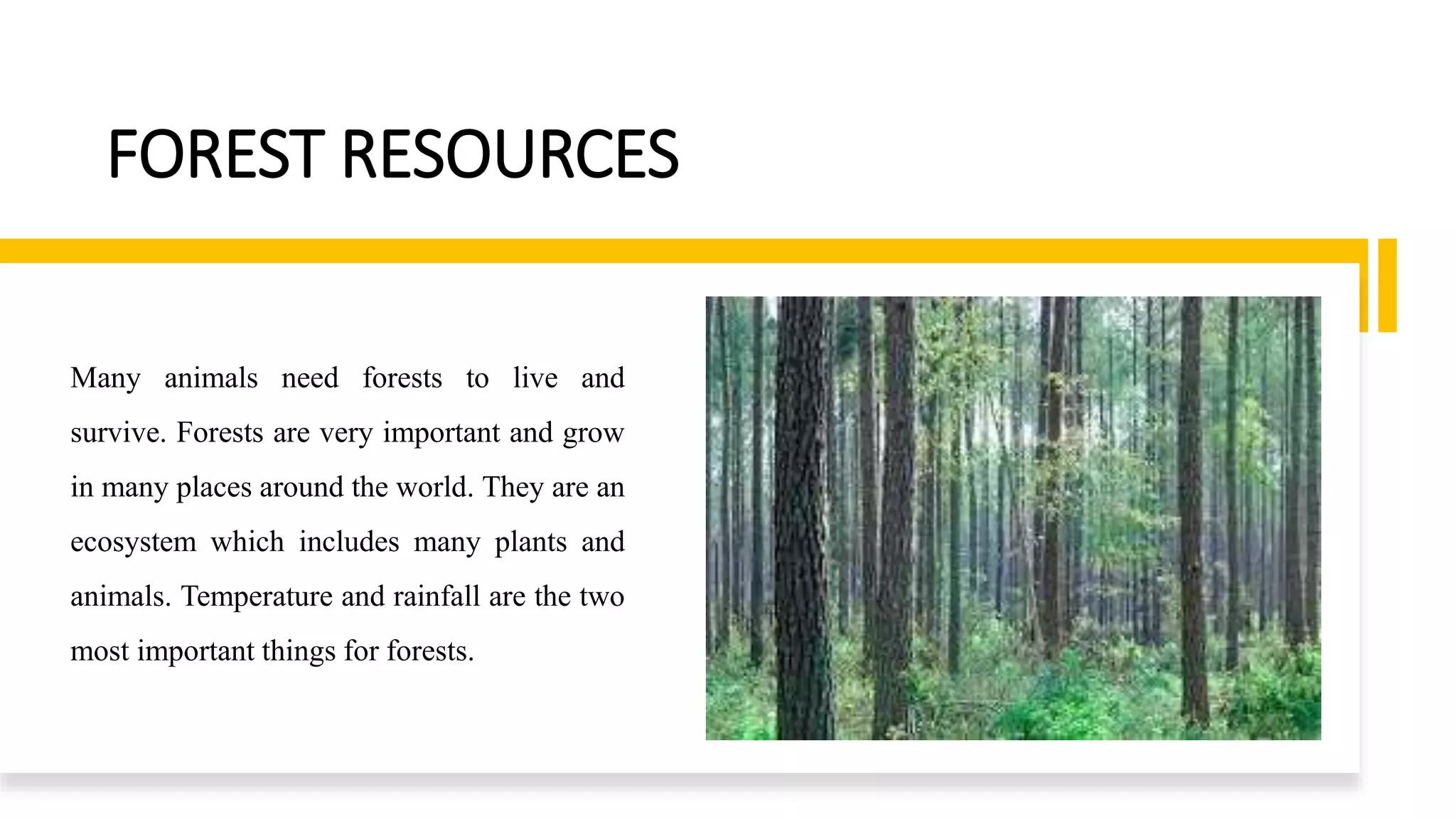 Forest and mineral resources | PPTX