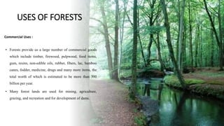 Forest and mineral resources | PPTX