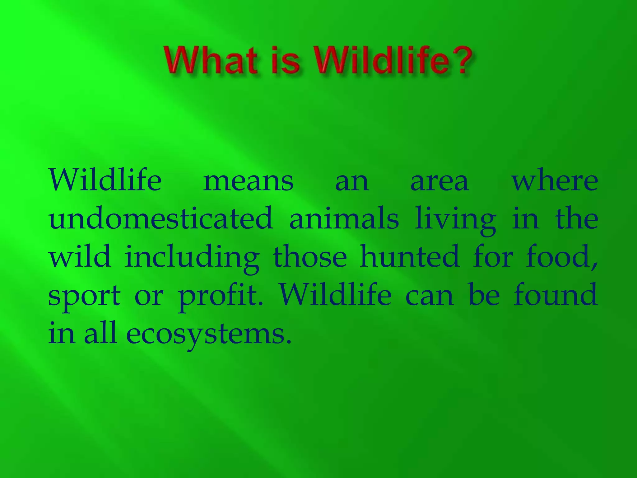 Forest and wildlife | PPTX