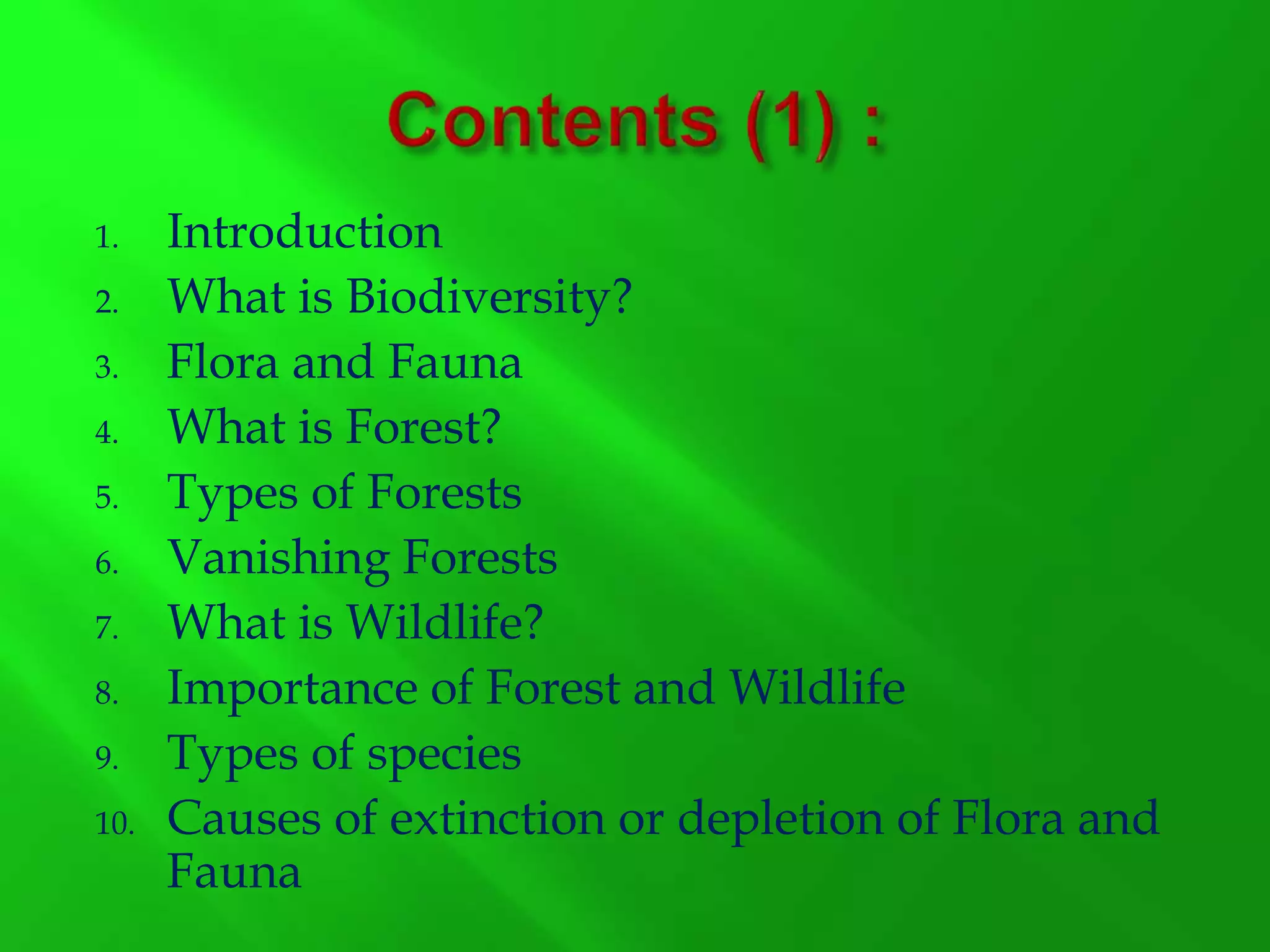 Forest and wildlife | PPTX