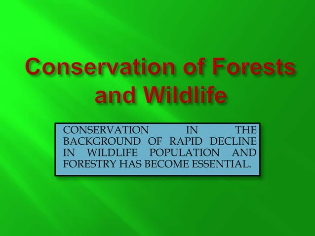 Forest and wildlife | PPTX