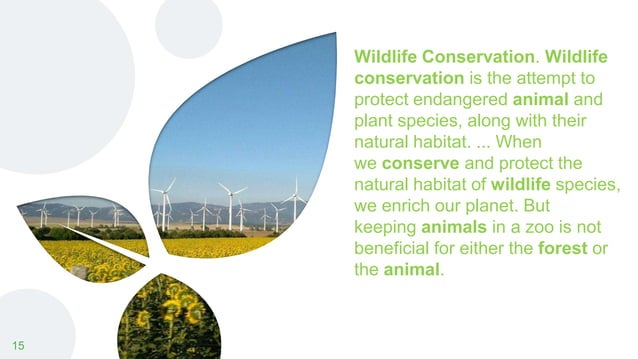 Forest and wildlife class 10 | PPTX | Environment | Science