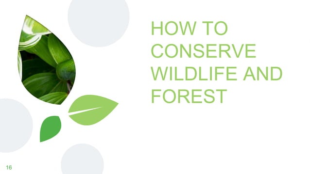 Forest and wildlife class 10 | PPTX | Environment | Science