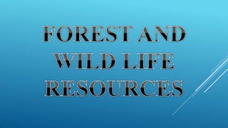 Forest and wildlife ppt | PPTX