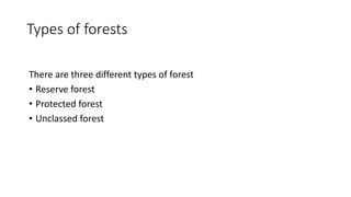 Forest and wild life resources | PPTX