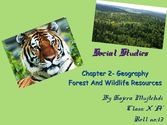 Forest and wildlife resources | PPT