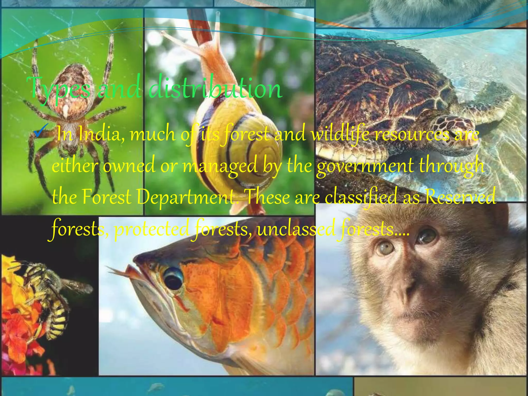 Forest_and_Wildlife_Resources.pptx