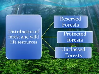 Forest_and_Wildlife_Resources.pptx