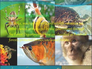 Forest_and_Wildlife_Resources.pptx