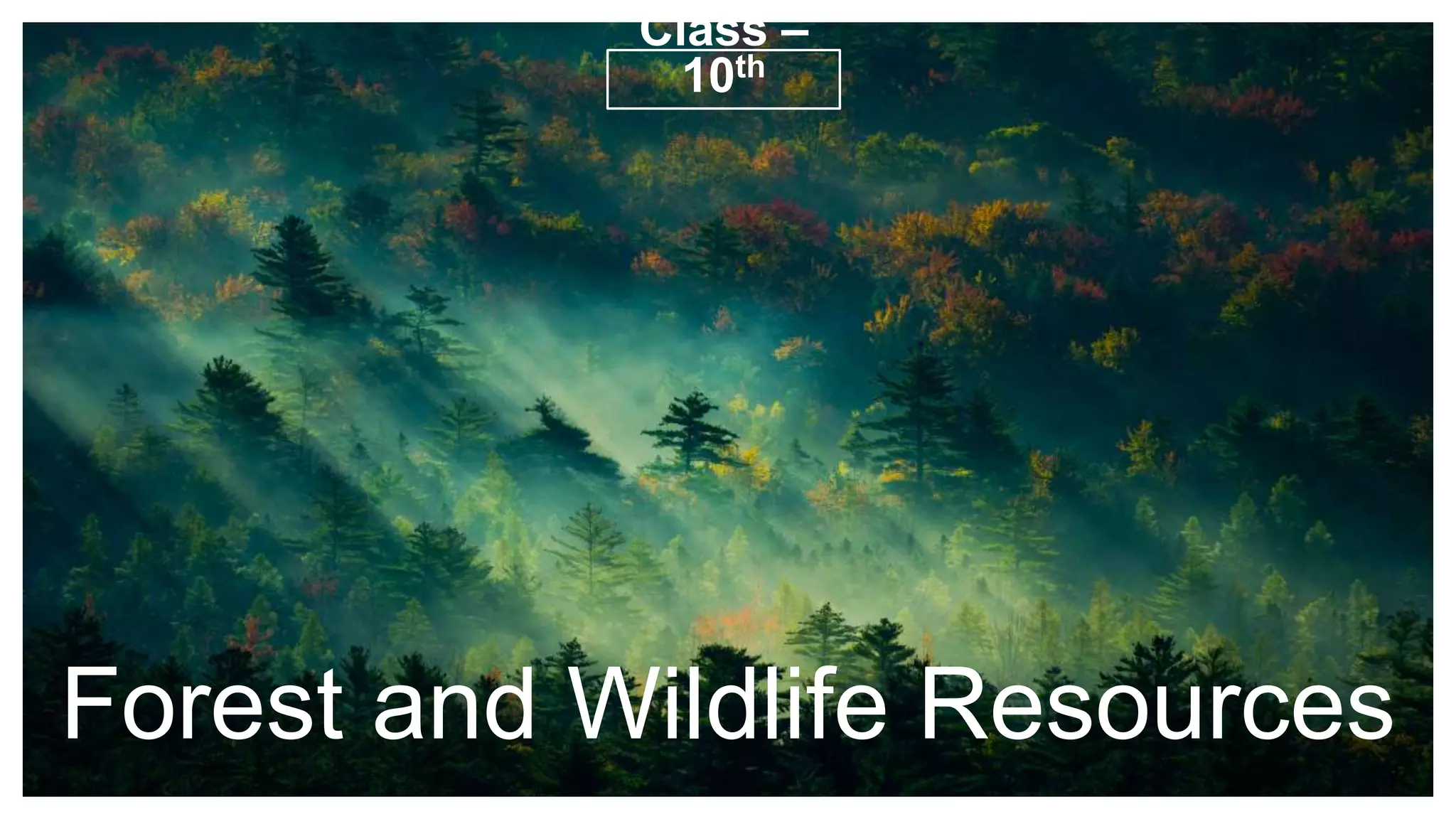 Forest and Wildlife Resources Class - 10th | PPTX