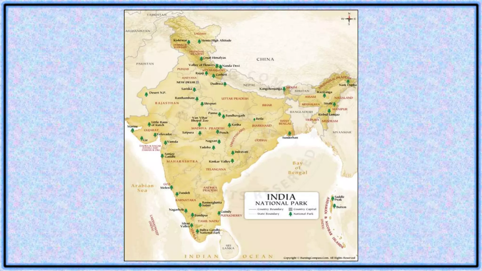 Forest and Wildlife Resources Class - 10th | PPTX