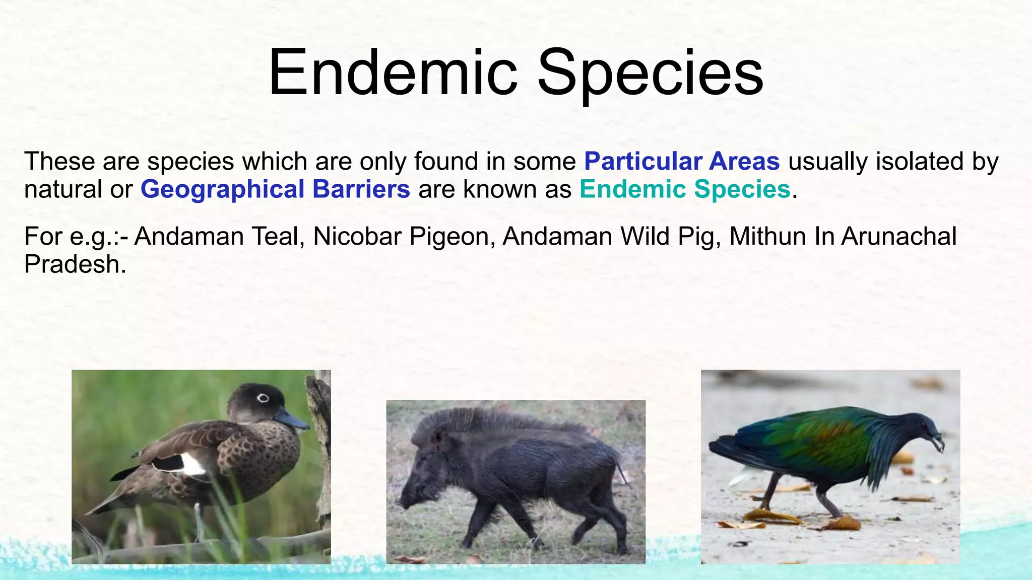 Forest and Wildlife Resources Class - 10th | PPTX