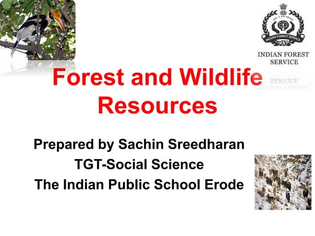 Forest And Wildlife Resources Grade X Pdf