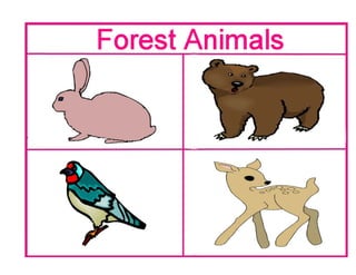 Forest animals | PPT