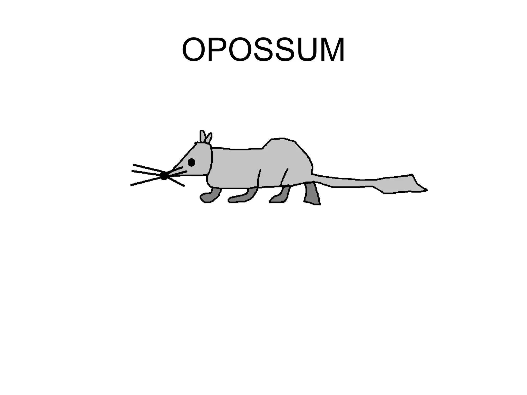 FOREST ANIMALS= BOOK VERSION.pptx