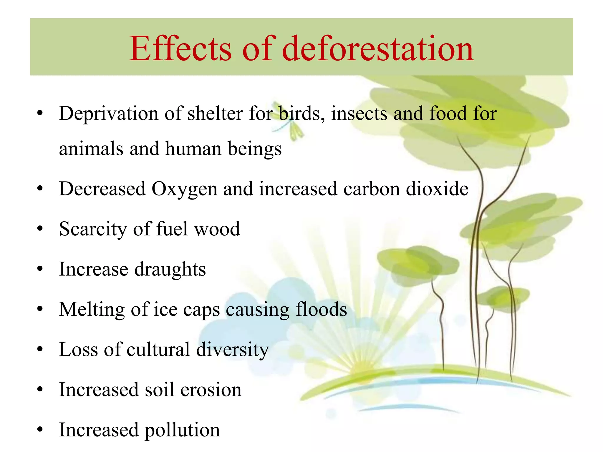 Forestation | PPTX | Agriculture | Industries