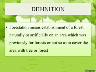 Forestation | PPTX