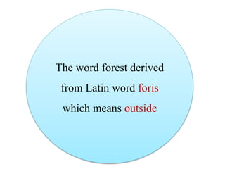 Forestation | PPTX