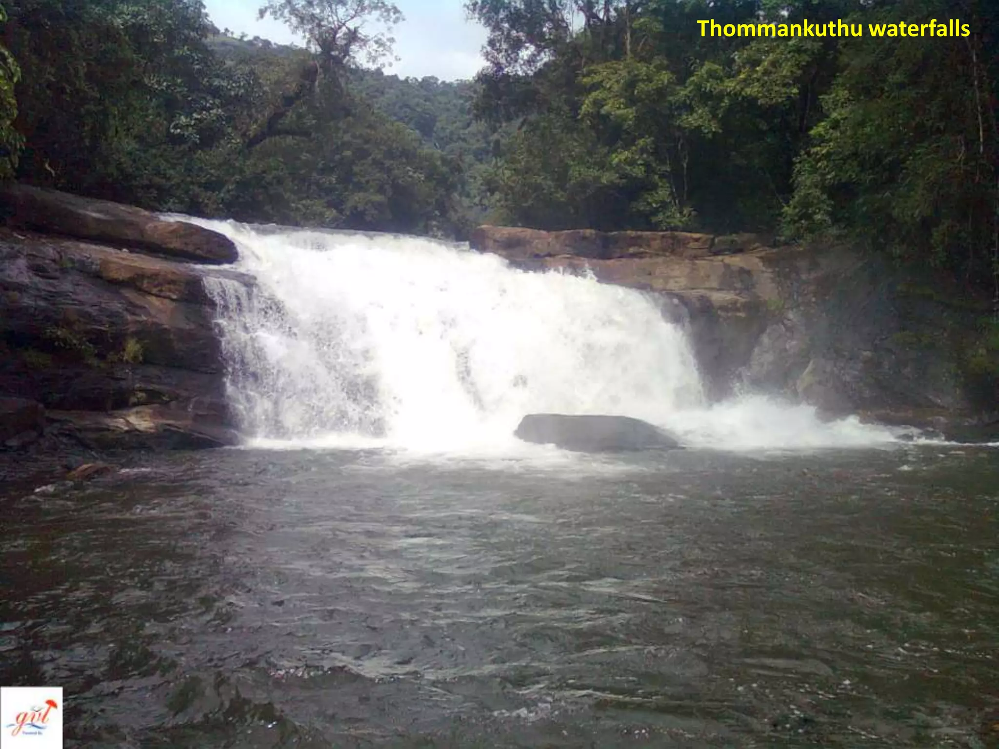 Forest at seethathodu | PPTX