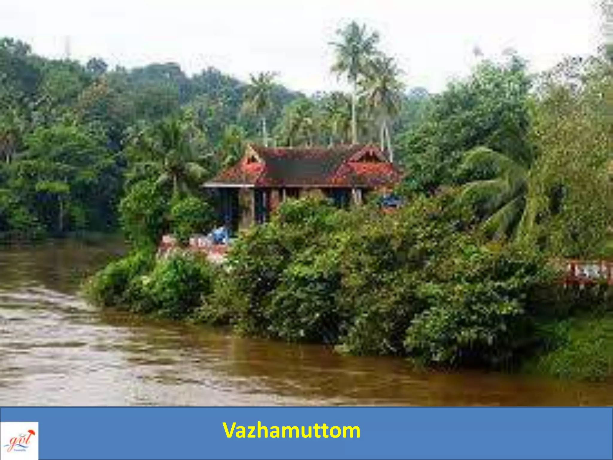 Forest at seethathodu | PPTX