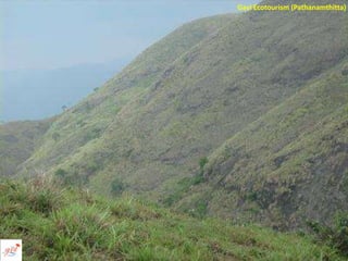 Forest at seethathodu | PPTX
