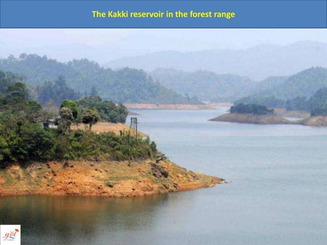 Forest at seethathodu | PPTX