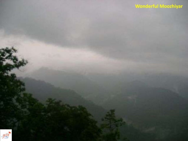 Forest at seethathodu | PPTX