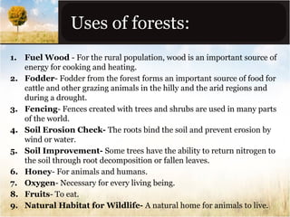 Forest & Bio-diversity management | PPT