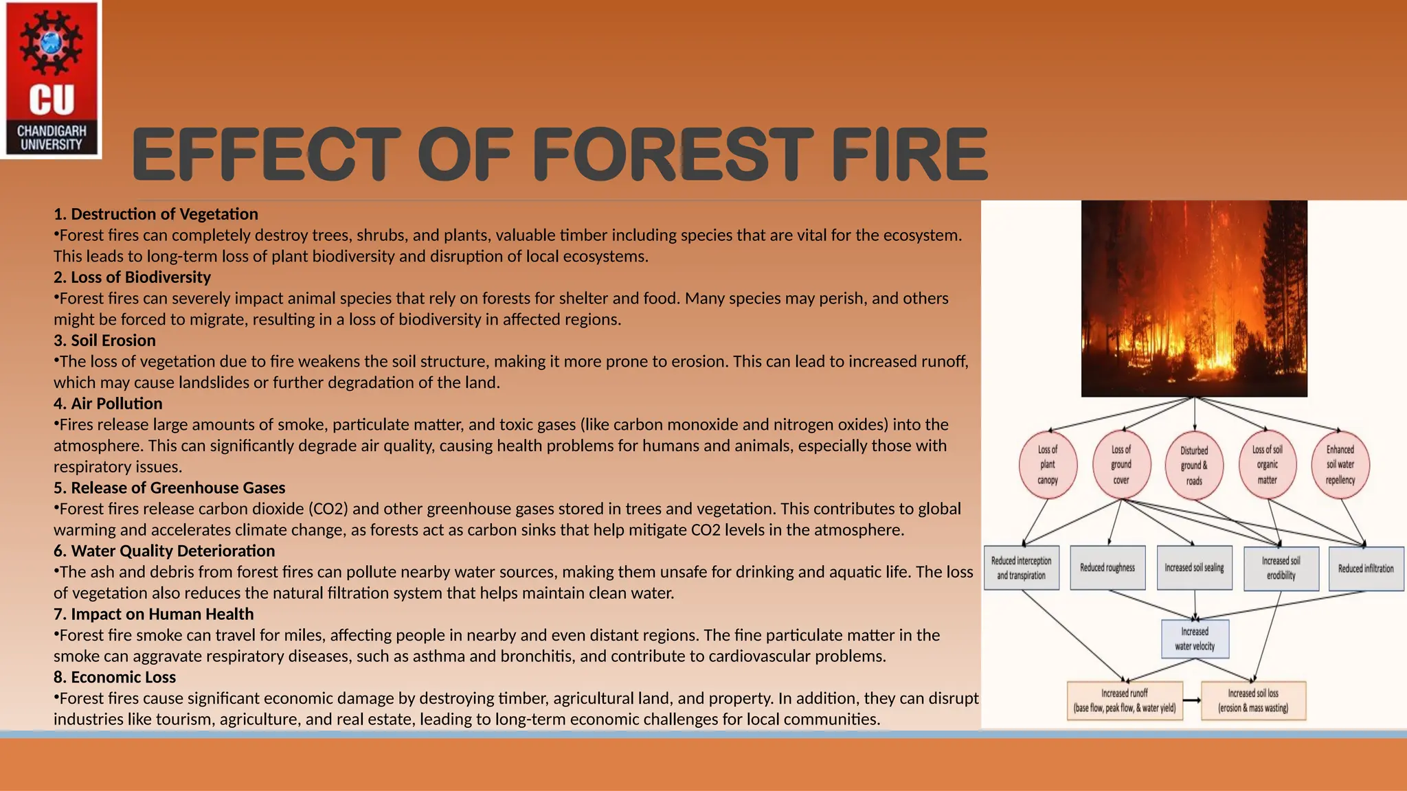 Forest Biology dealing with (ForestFire).pptx