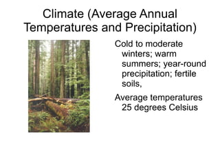 Temperate Forest Biome | ODP