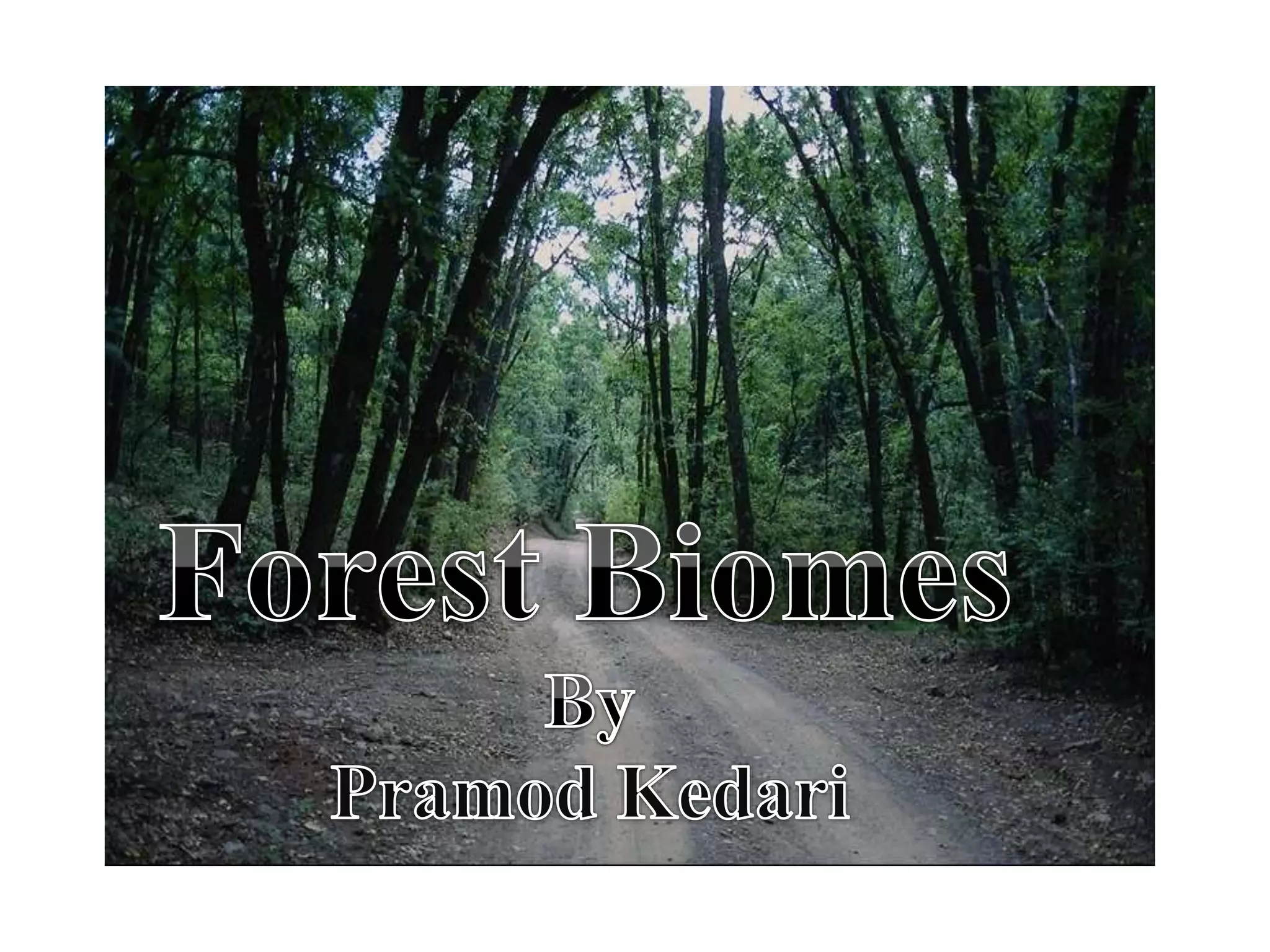 Forest biomes | PPTX
