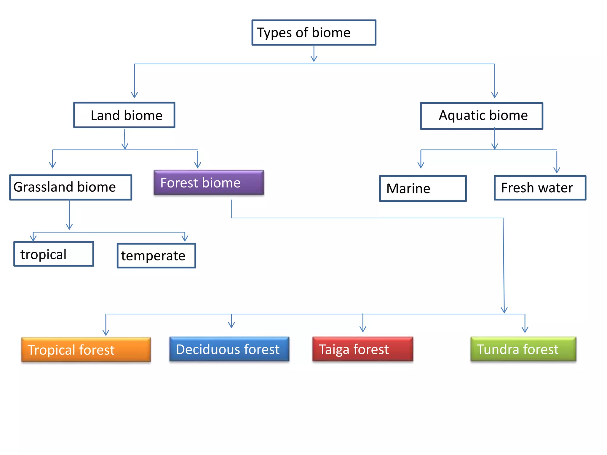 Forest biomes | PPTX