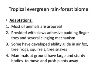 Forest biomes | PPTX