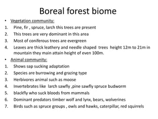 Forest biomes | PPTX