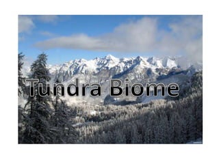 Forest biomes | PPTX