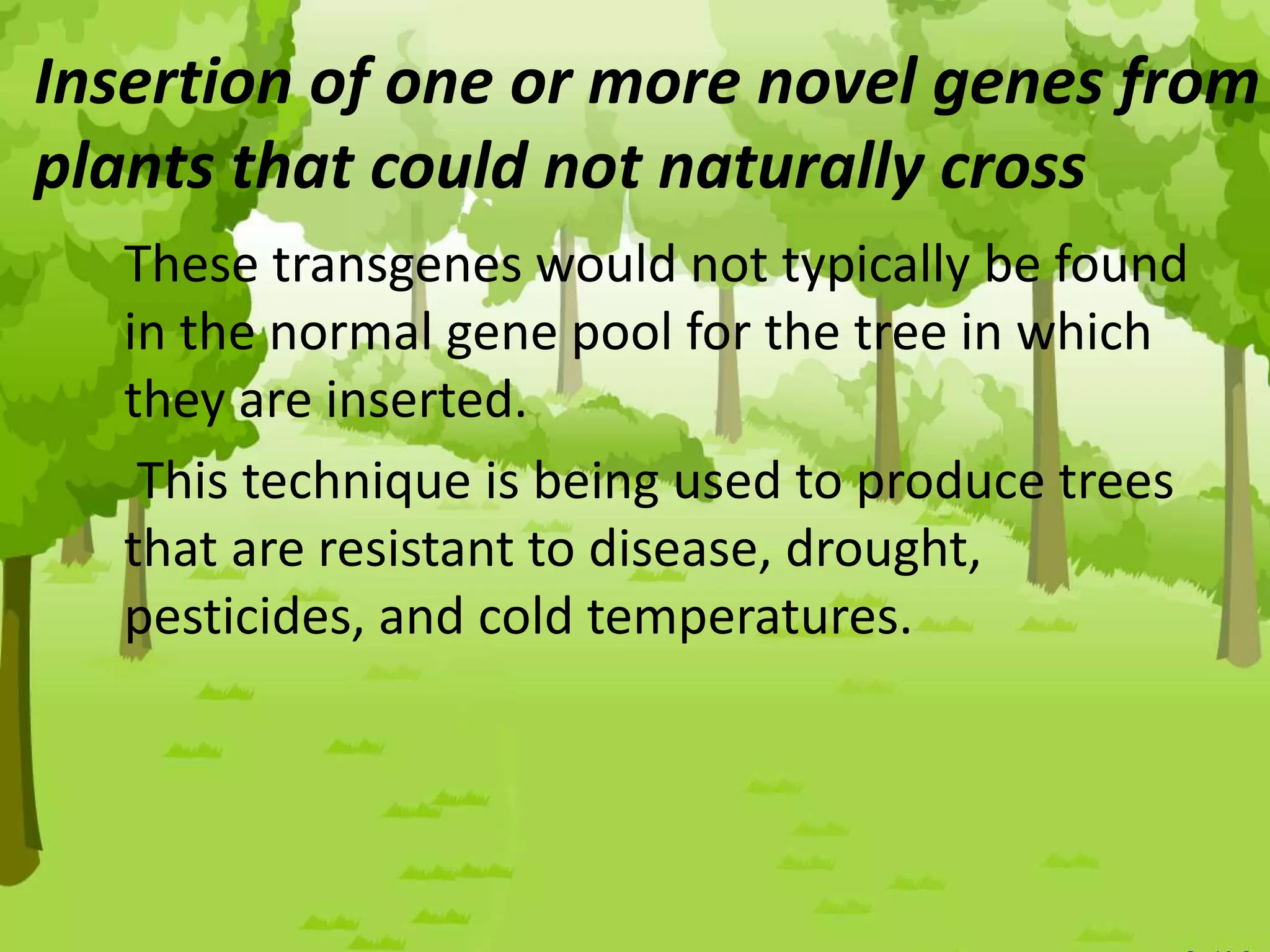 Forest Biotechnology | PPTX