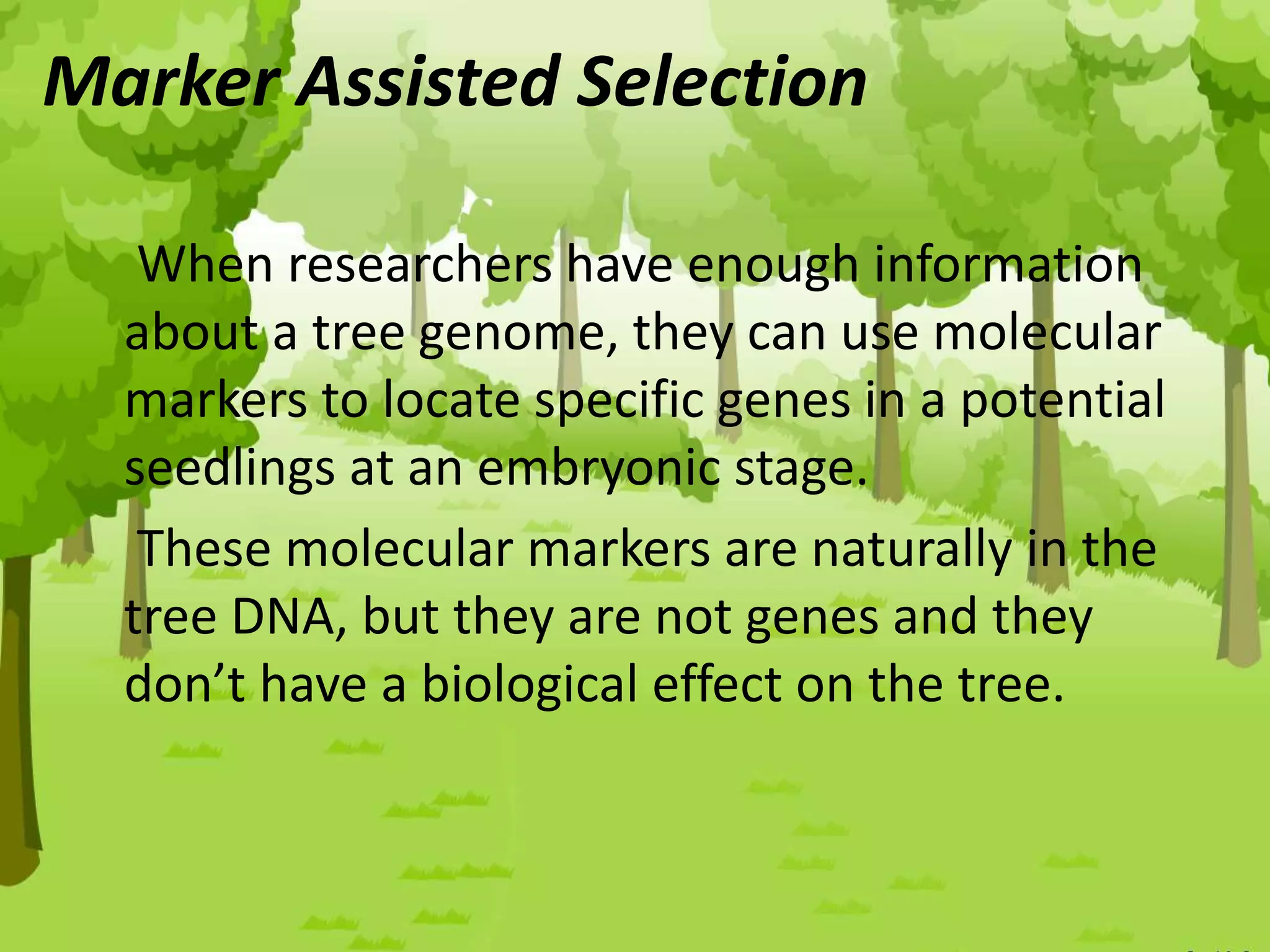 Forest Biotechnology | PPTX