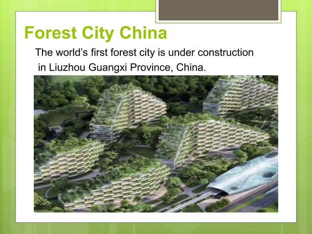 Forest city china | PPT