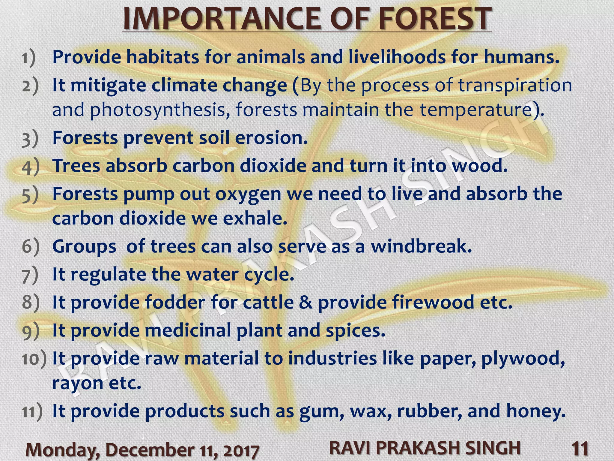 Forest class 7 | PDF
