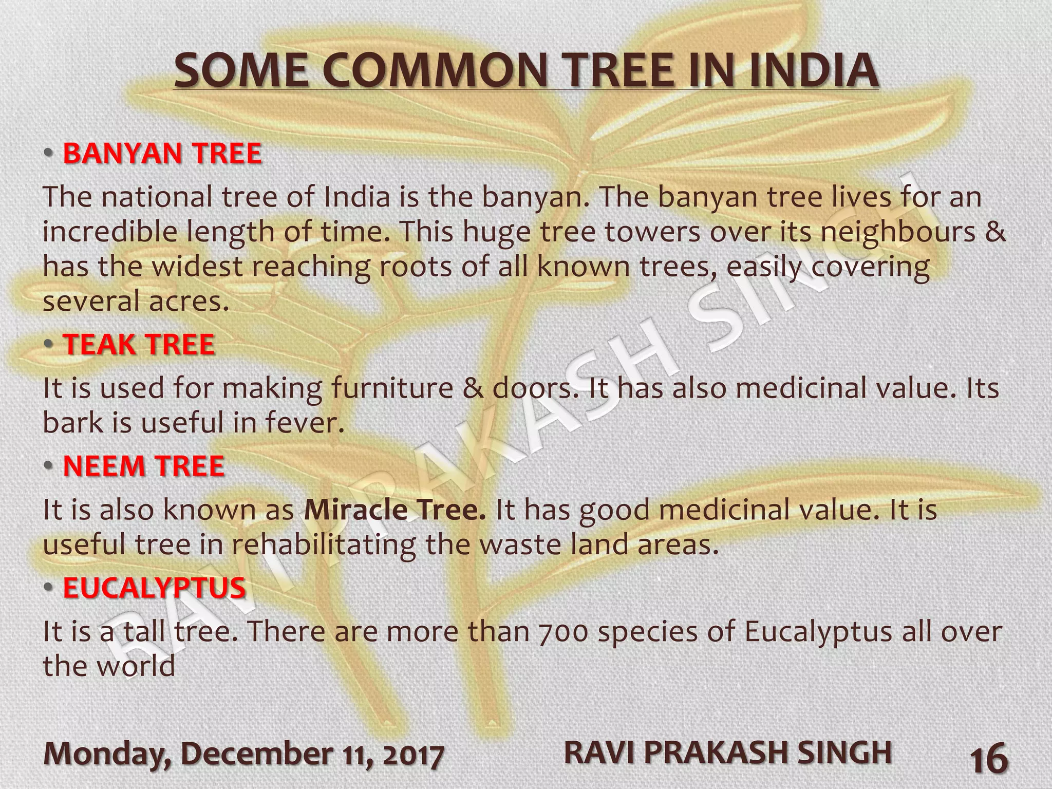 Forest class 7 | PDF