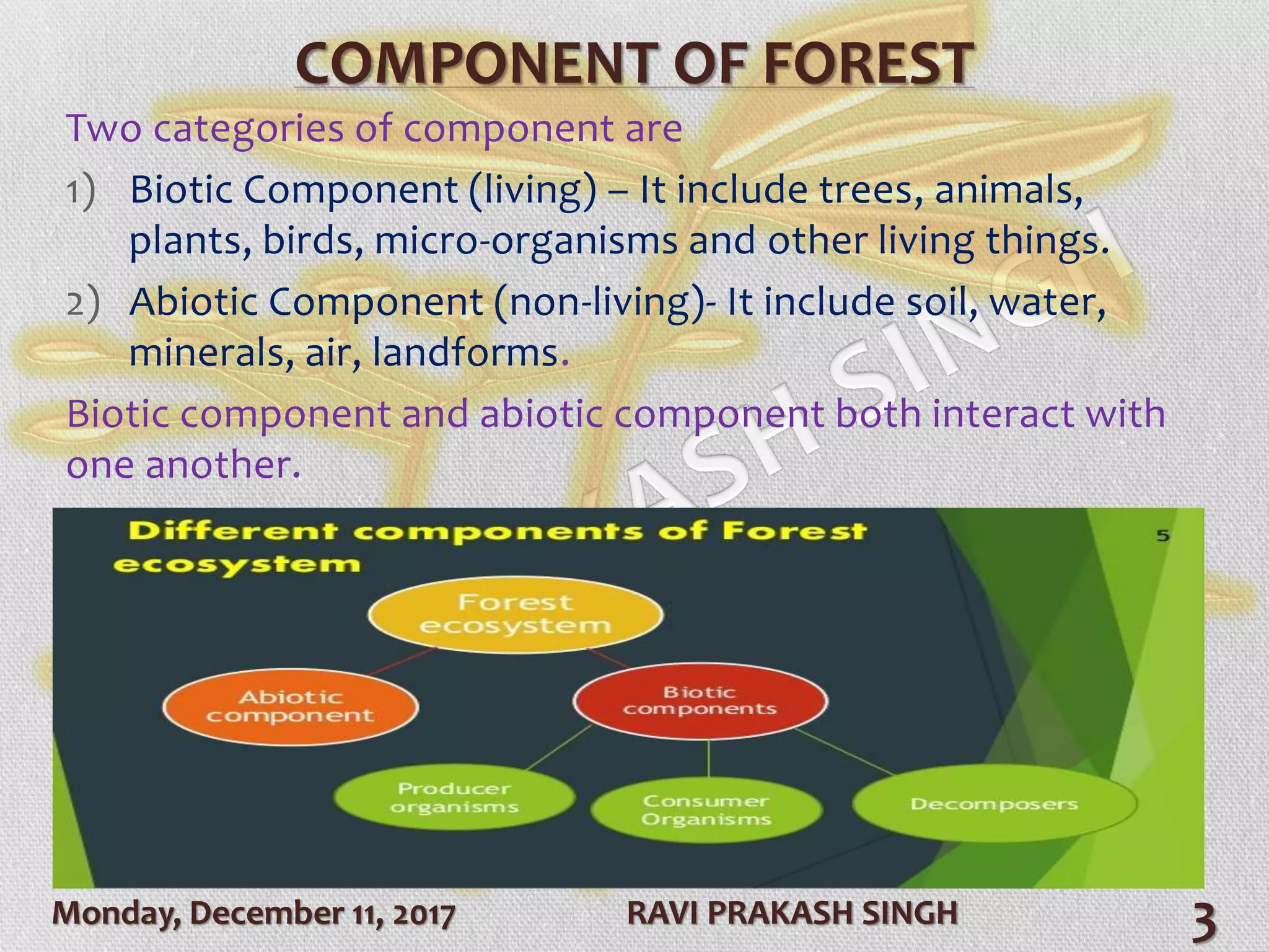 Forest class 7 | PDF | Science