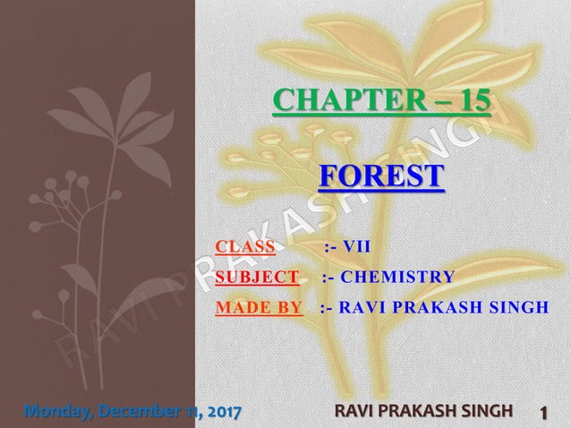 Forest class 7 | PDF | Science