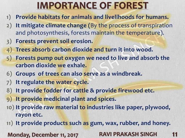 Forest class 7 | PDF | Science