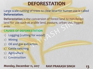 Forest class 7 | PDF